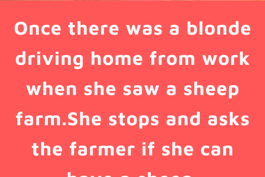 $400,000 Lamborghini - Joke Book